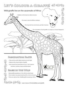 Educational Materials - Giraffe Conservation Foundation