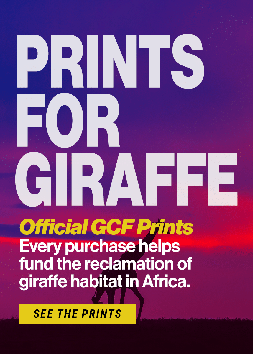 Educational Videos - Giraffe Conservation Foundation