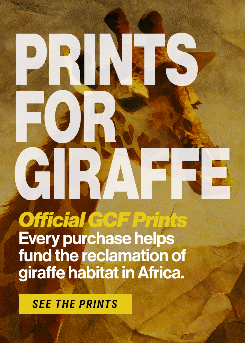 Why do giraffe have spots? - Giraffe Conservation Foundation