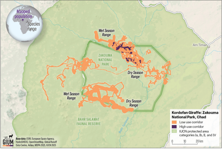 Giraffe on the Move: Mapping a Silent Recovery - Giraffe Conservation ...